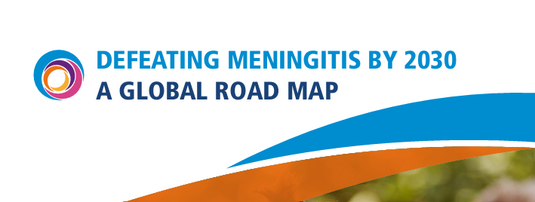 WHO - Defeating meningitis by 2030: a global road map